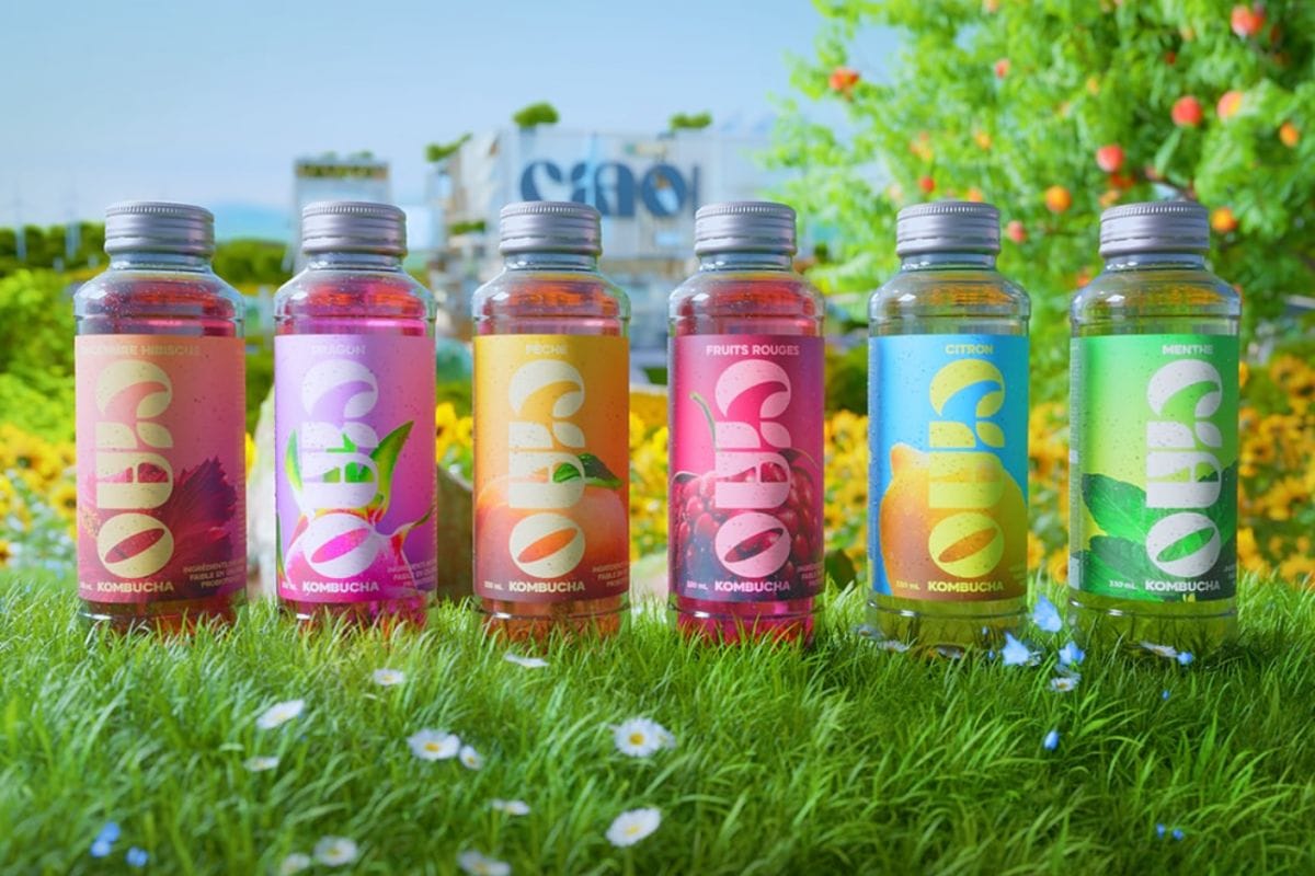 Où acheter le Ciao Kombucha de Squeezie ? Goûts, prix, bienfaits et infos pratiques