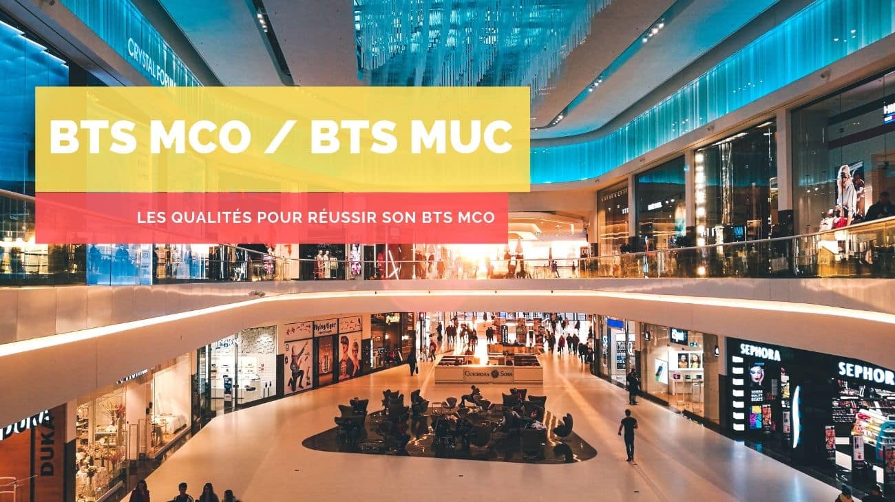 Les qualités pour réussir son BTS MCO